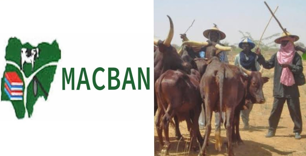 Cow Poisoning:Miyetti Allah Cattle Breeders Association Alleges ...